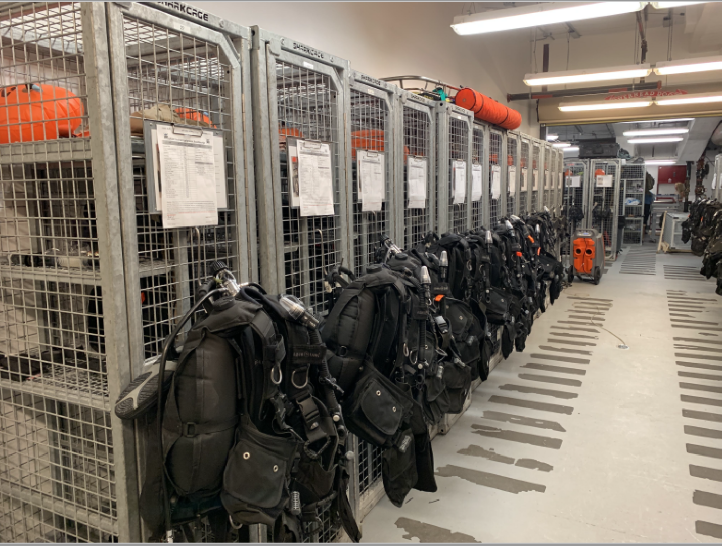 SHARKCAGE - Military Diving School